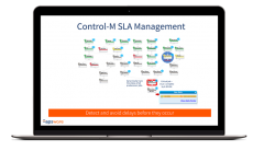 Control-M Workload Automation - a Partner of BMC Software
