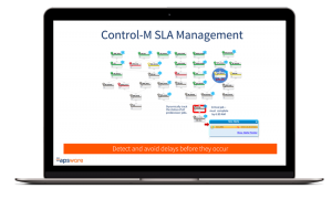 Control-M Workload Automation - a Partner of BMC Software