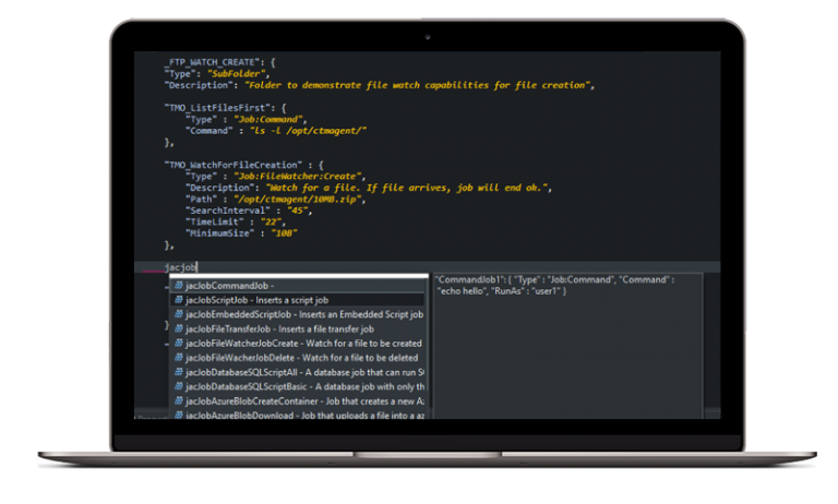 Control-M Workload Automation - a Partner of BMC Software